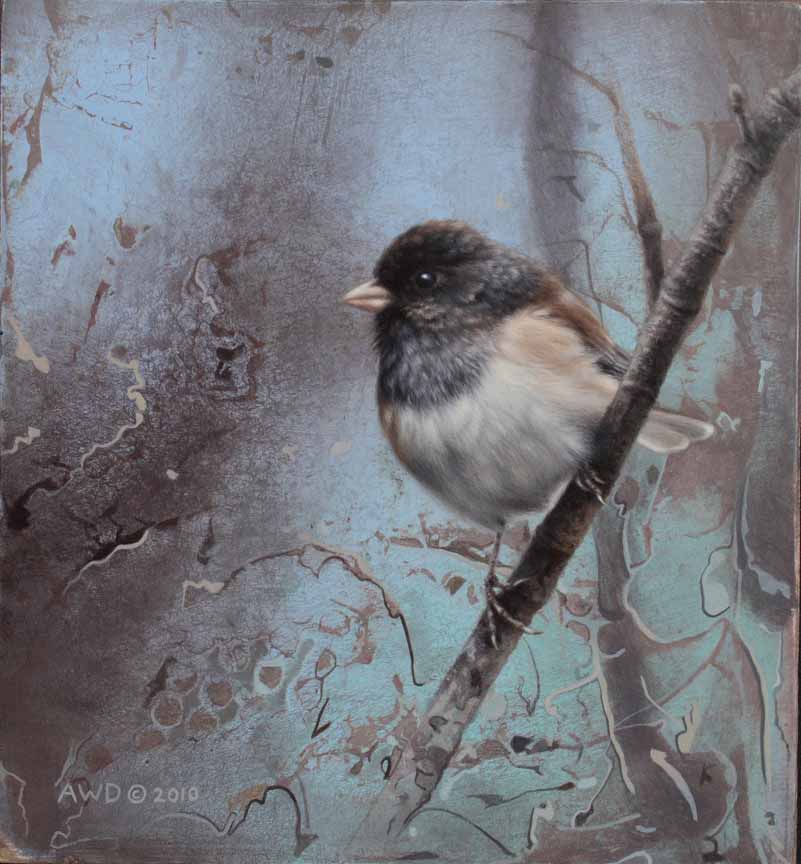 AD - Junco Bunko © Andrew Denman - Ansada Licensing Group