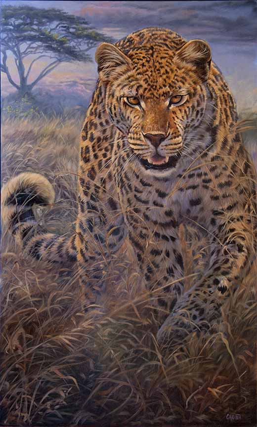 CC - Wildlife - Prince of Stealth CC1111 © Cory Carlson - Ansada ...