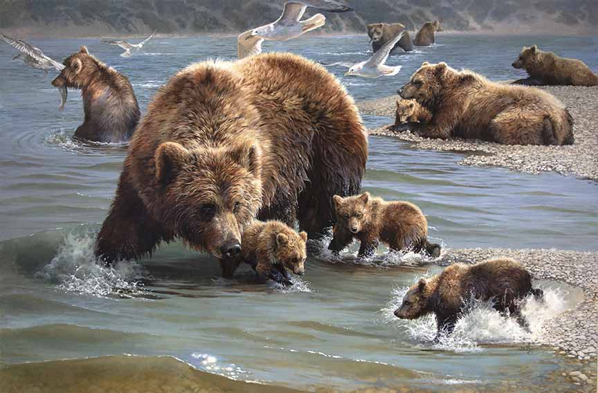 BM - Grizzly Bear Family © Bonnie Marris - Ansada Licensing Group