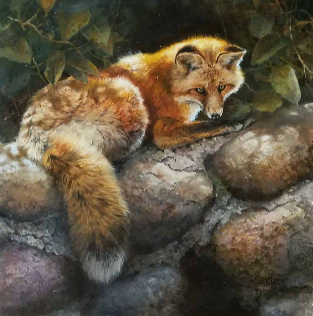 Bonnie Marris - Wildlife - Ansada Licensing Group