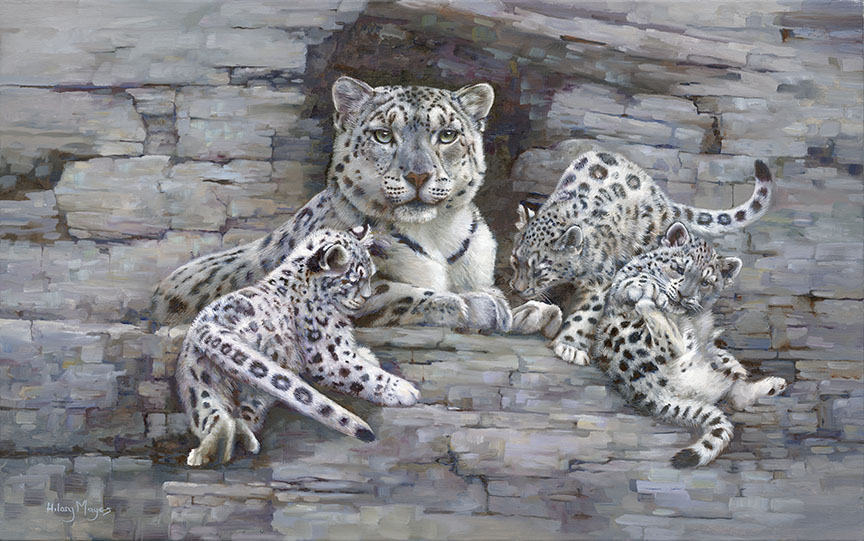 HM - Snow Leopard Family © Hilary Mayes - Ansada Licensing Group