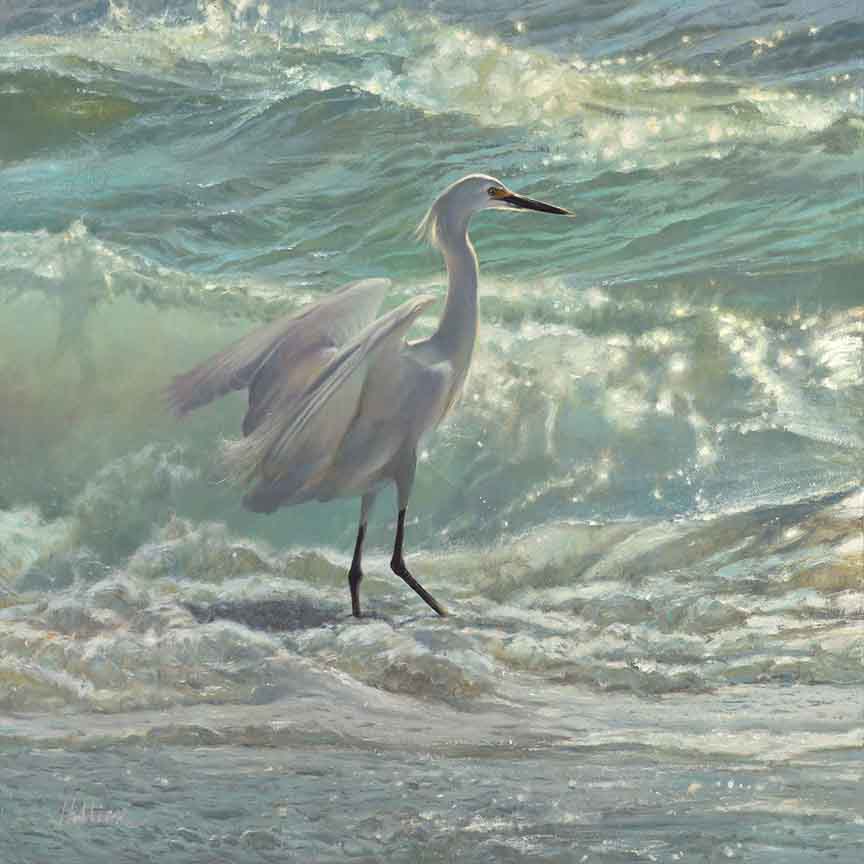 MH - Egret (square) © Matthew Hillier - Ansada Licensing Group