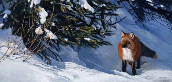 TI – Fox Glow © Terry Isaac – Ansada Licensing Group
